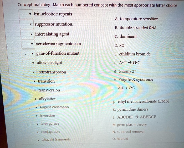 Concept matching–Match each numbered concept with the most appropriate ...