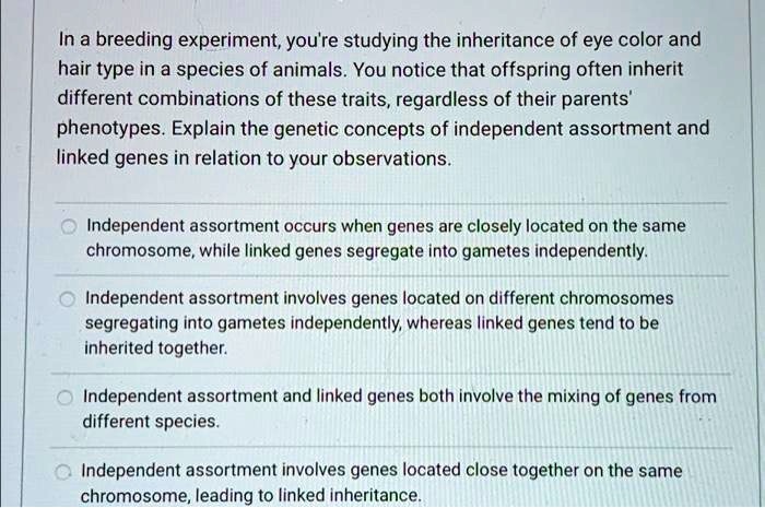In a breeding experiment, you're studying the inheritance of eye color and hair type in a ...