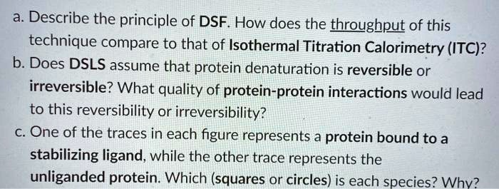 describe the principle of dsf how does the throughput of this technique ...