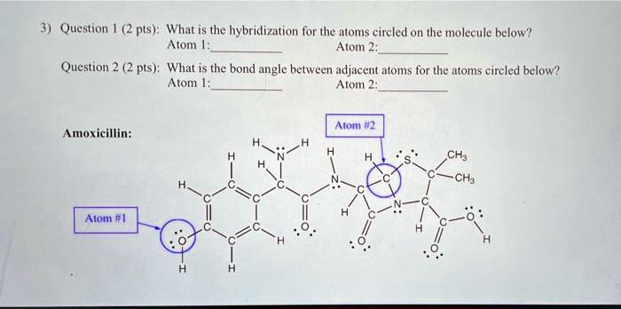 3) Question 1 (2 pts): What is the hybridization for the atoms circled ...