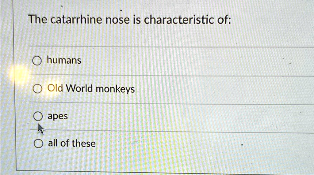 SOLVED: The catarrhine nose is characteristic of: - humans - Old World ...