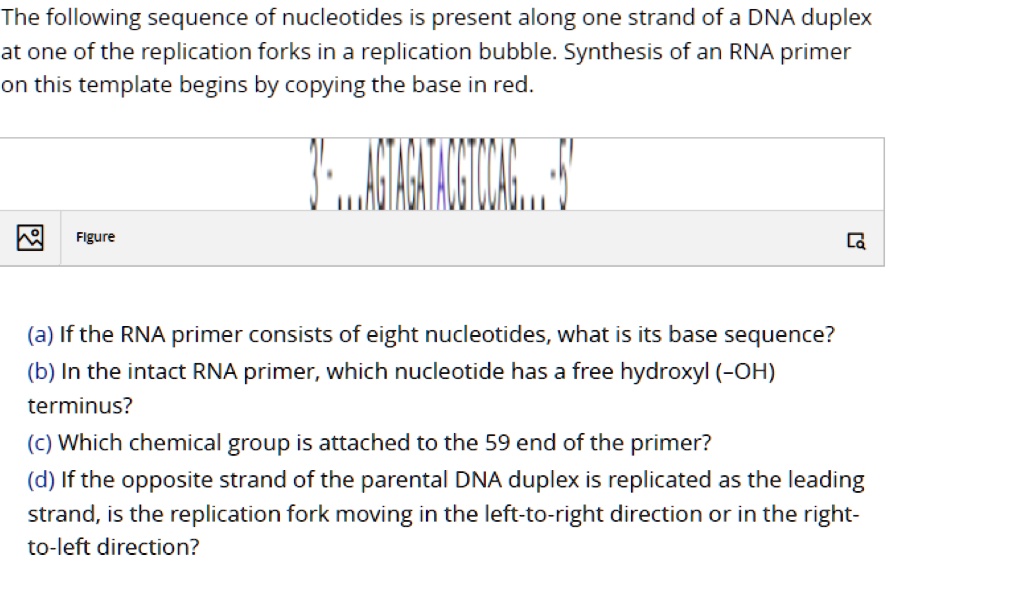 The following sequence of nucleotides is present along one strand of a ...