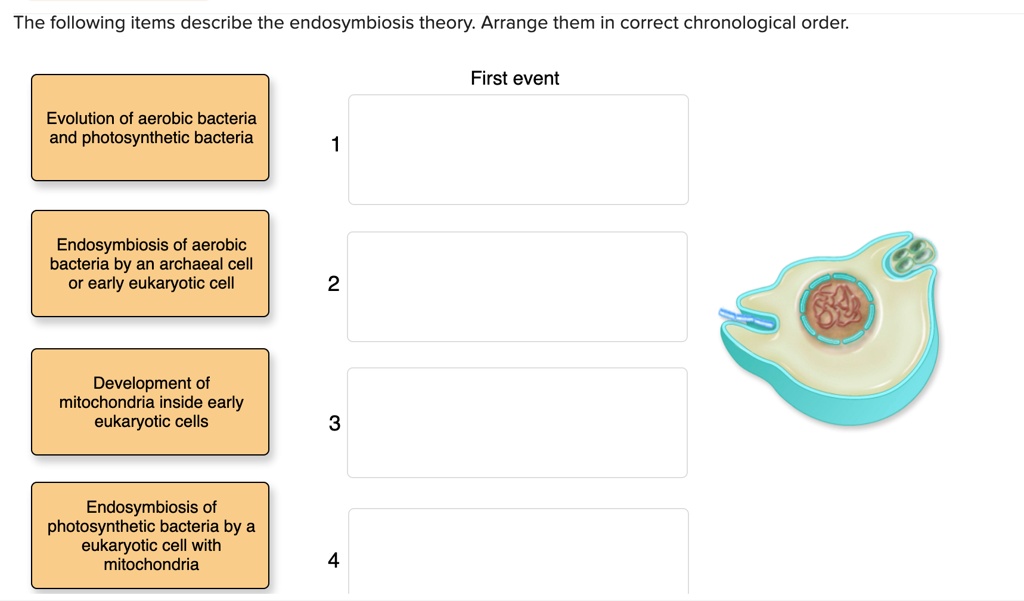 SOLVED: The following items describe the endosymbiosis theory: Arrange ...