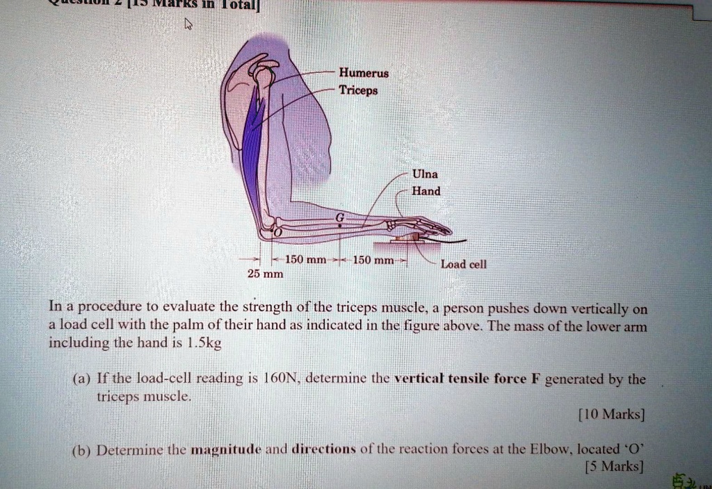 [GET ANSWER] Marks in Total] Humerus Triceps Ulna Hand G 150 mm 150 mm ...