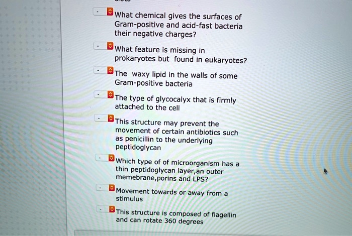 SOLVED: What chemical gives the surfaces of Gram-positive and acid-fast ...