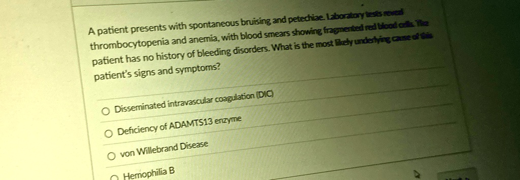 a patient presents with spontaneous bruising and petechiae laboratory ...