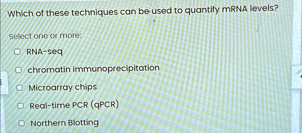 which of these techniques can be used to quantify mrna levels select ...