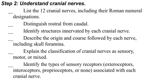 Step 2: Understand cranial nerves. List the 12 cranial nerves ...