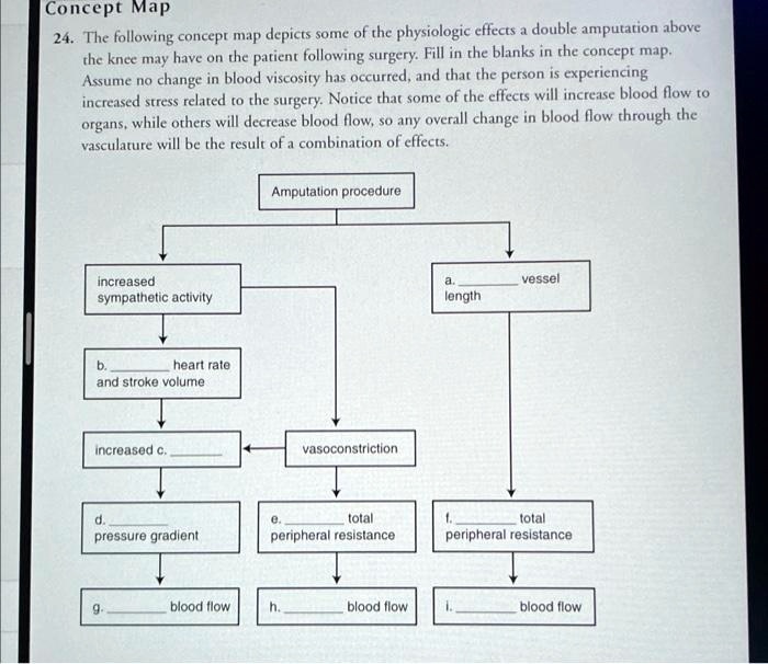 Concept Map 24. The following concept map depicts some of the ...