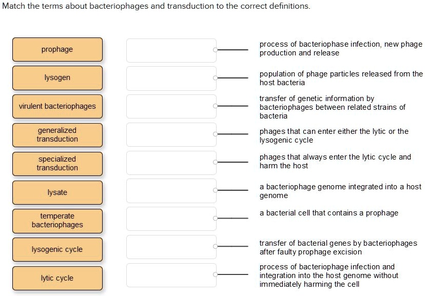 Match the terms about bacteriophages and transduction to the correct ...