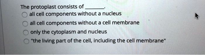 the protoplast consists of all cell components without a nucleus all ...