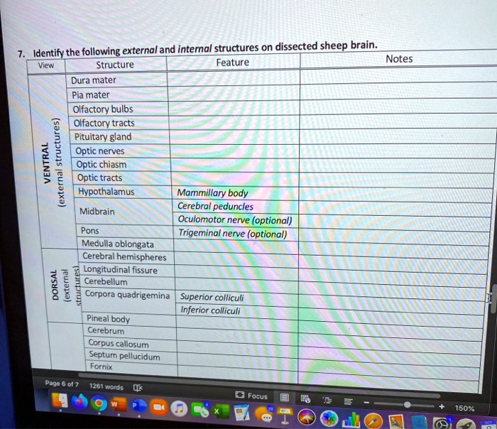 identify the following external and internal structures on dissected ...