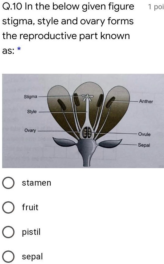 SOLVED: 'please give answer please Q.10 In the below given figure 1 po ...
