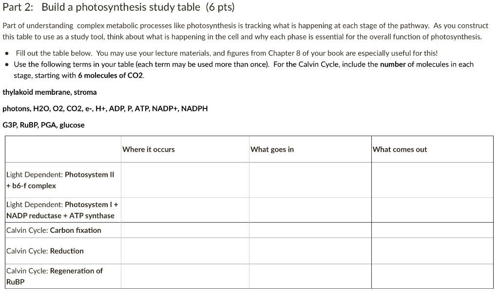SOLVED:Part 2: Build a photosynthesis study table (6 pts) Part of ...