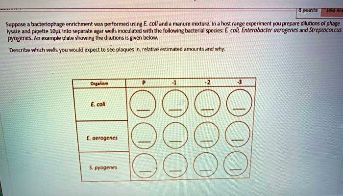 SOLVED: Suppose a bacteriophage enrichment was performed using E. coli ...
