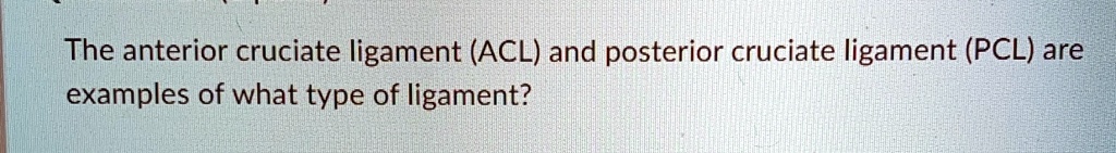 The anterior cruciate ligament (ACL) and posterior cruciate ligament ...