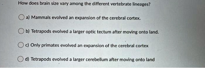 SOLVED:How does brain size vary among the different vertebrate lineages ...