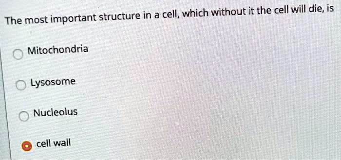 The most important structure in a cell, which without it the cell will ...