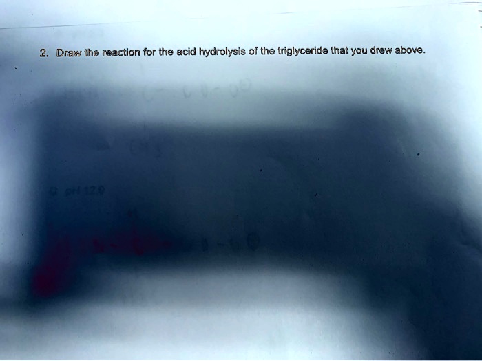 draw the reaction for tne acid hydrolysis of the triglyceride ihat you ... draw the reaction for tne acid hydrolysis of the triglyceride ihat you ...