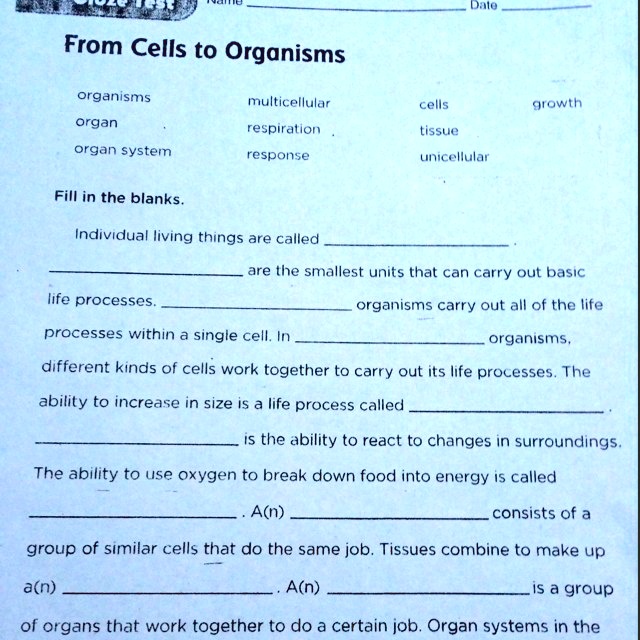 Date From Cells to Organisms organisms organ organ system multicellular ...