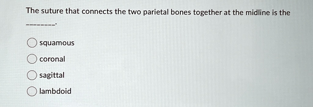 The suture that connects the two parietal bones together at the midline ...