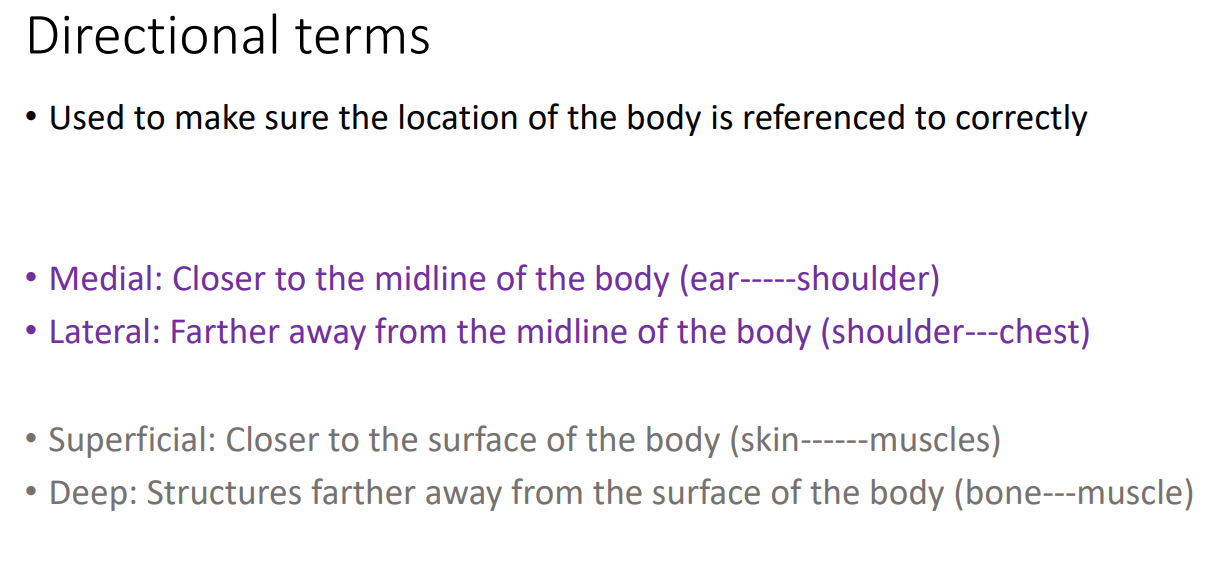 [GET ANSWER] Directional terms - Used to make sure the location of the ...