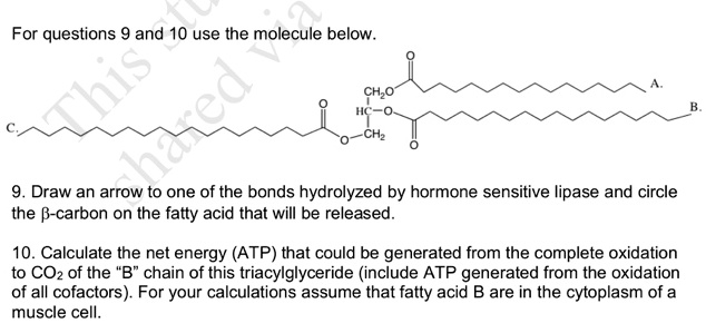 for questions and 10 use the molecule below chisa ch 2 chz 9 draw an ...