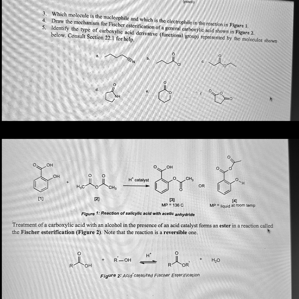 3. Which molecule is the nucleophile and which is the electrophile in ...