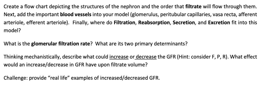 Create a flow chart depicting the structures of the nephron and the order that filtrate will ...