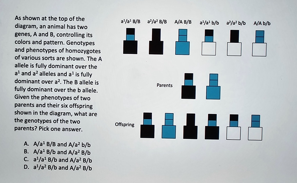 SOLVED: Texts: As shown at the top of the diagram, an animal has two ...