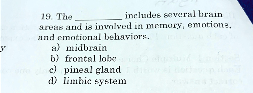 the limbic system includes several brain areas and is involved in ...