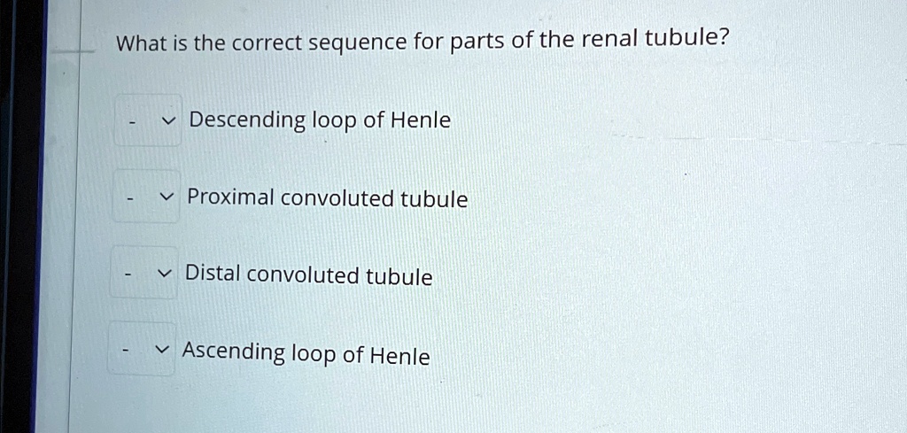 what is the correct sequence for parts of the renal tubule descending ...