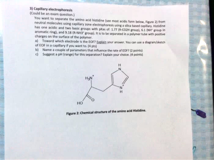 SOLVED: ' You want to separate the amino acid histidine (see most ...