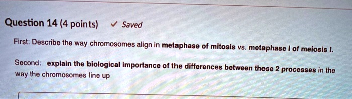 SOLVED: Question 14 (4 points) Saved First: Describe the way ... SOLVED: Question 14 (4 points) Saved First: Describe the way ...
