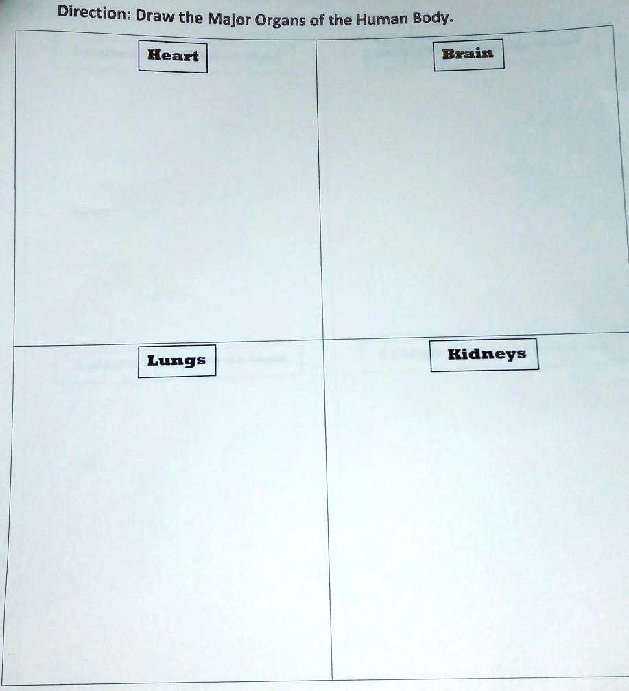 SOLVED: 'Direction: Draw the Major Organs of the Human Body. Direction ...