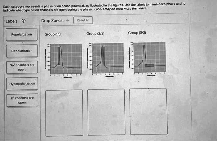 please help thank you each category represents a phase of an action ...