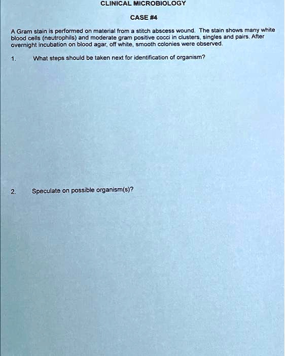 clinicalmicrobiology case4 a gram stain is performed on material from a ...