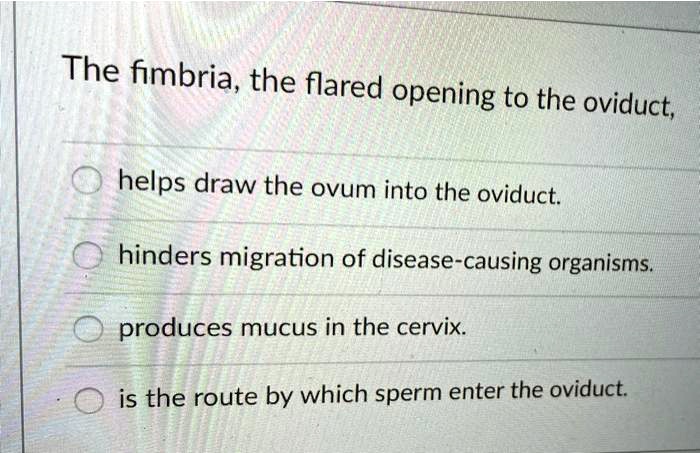 The fimbriae, the flared opening to the oviduct, help draw the ovum ...