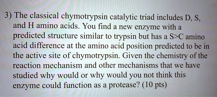 3 the classical chymotrypsin catalytic triad includes d and h amino ...