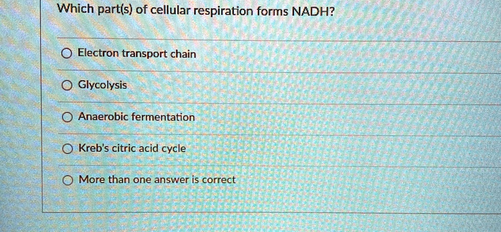 Which part(s) of cellular respiration forms NADH? Electron transport ...
