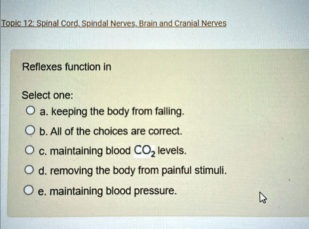 Topic 12: Spinal Cord, Spinal Nerves, Brain, and Cranial Nerves ...