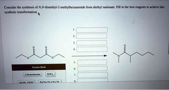SOLVED: Consider the synthesis of N,N-dimethyl-2-methylhexanamide from ...