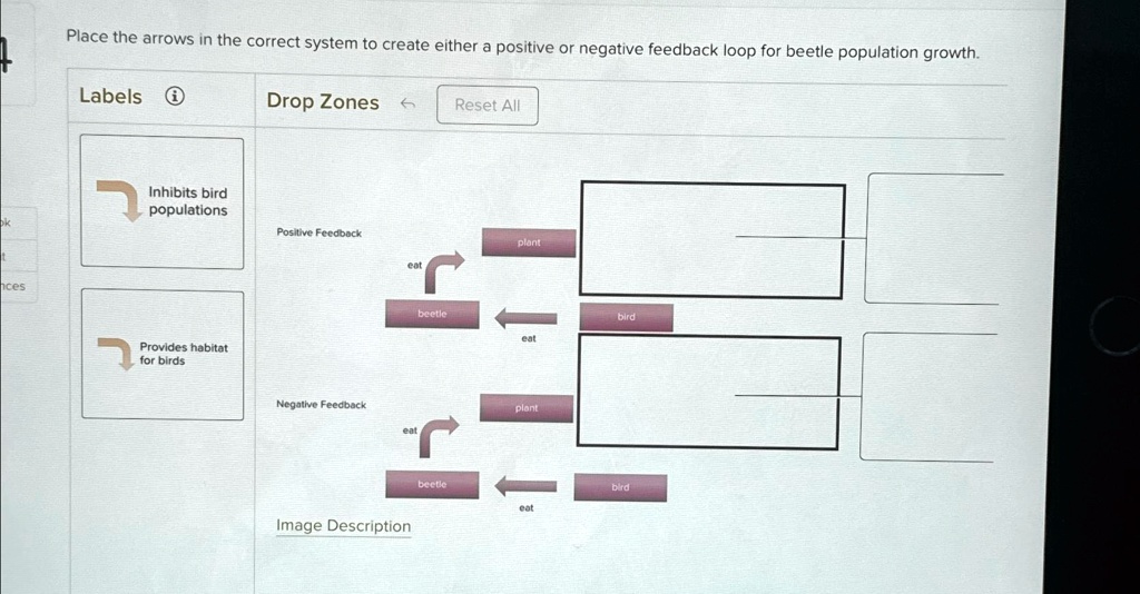 Place the arrows in the correct system to create either a positive or ...