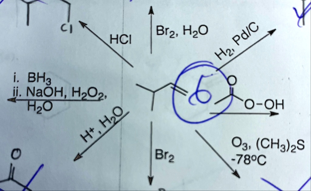 SOLVED: For the middle skeletal structure, complete the major product ...