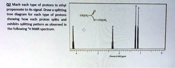 SOLVED: Q2 Match each type of protons in ethyl propanoate to its signal ...