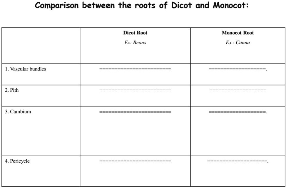 Monocots And Dicots Worksheet