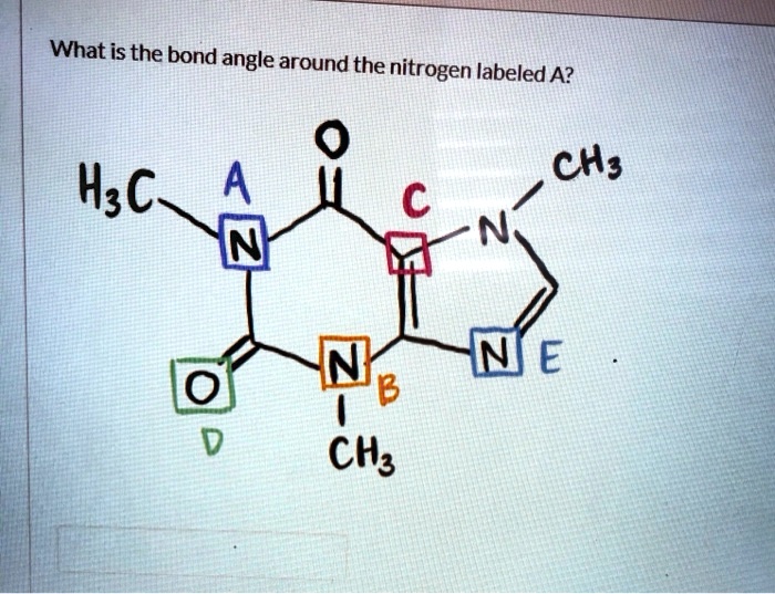 SOLVED: What is the bond angle around the nitrogen labeled A? CH; H2C CH2