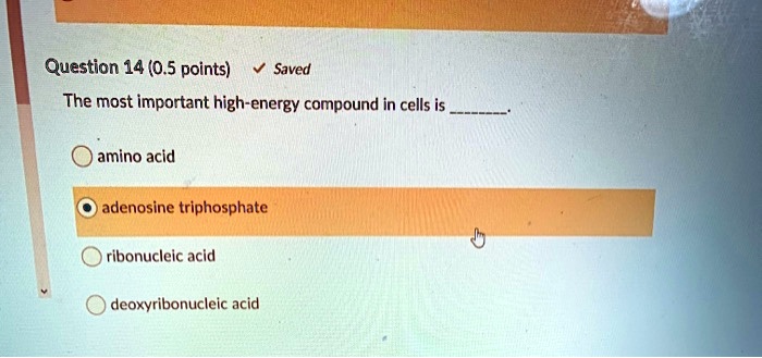 SOLVED: Question 14 (0.5 points) Saved The most important high-energy ... SOLVED: Question 14 (0.5 points) Saved The most important high-energy ...