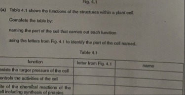 SOLVED: (a) Table 4.1 shows the functions of the structures within a ...