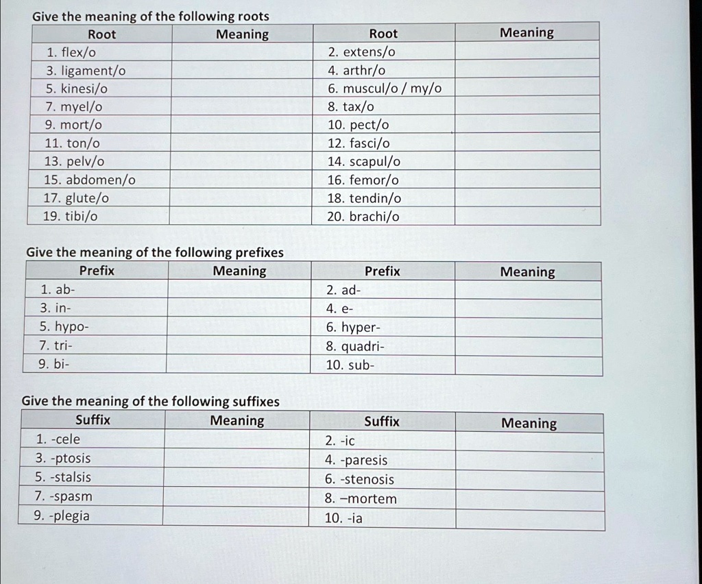 SOLVED: The text provided is a table with various roots, prefixes, and suffixes and their ...